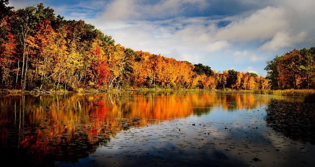 Ontario's Conservation Areas